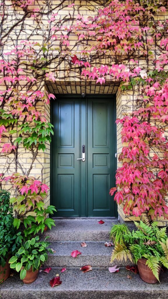 Fleur grimpante : Mes conseils et astuces - Clem Around The Corner